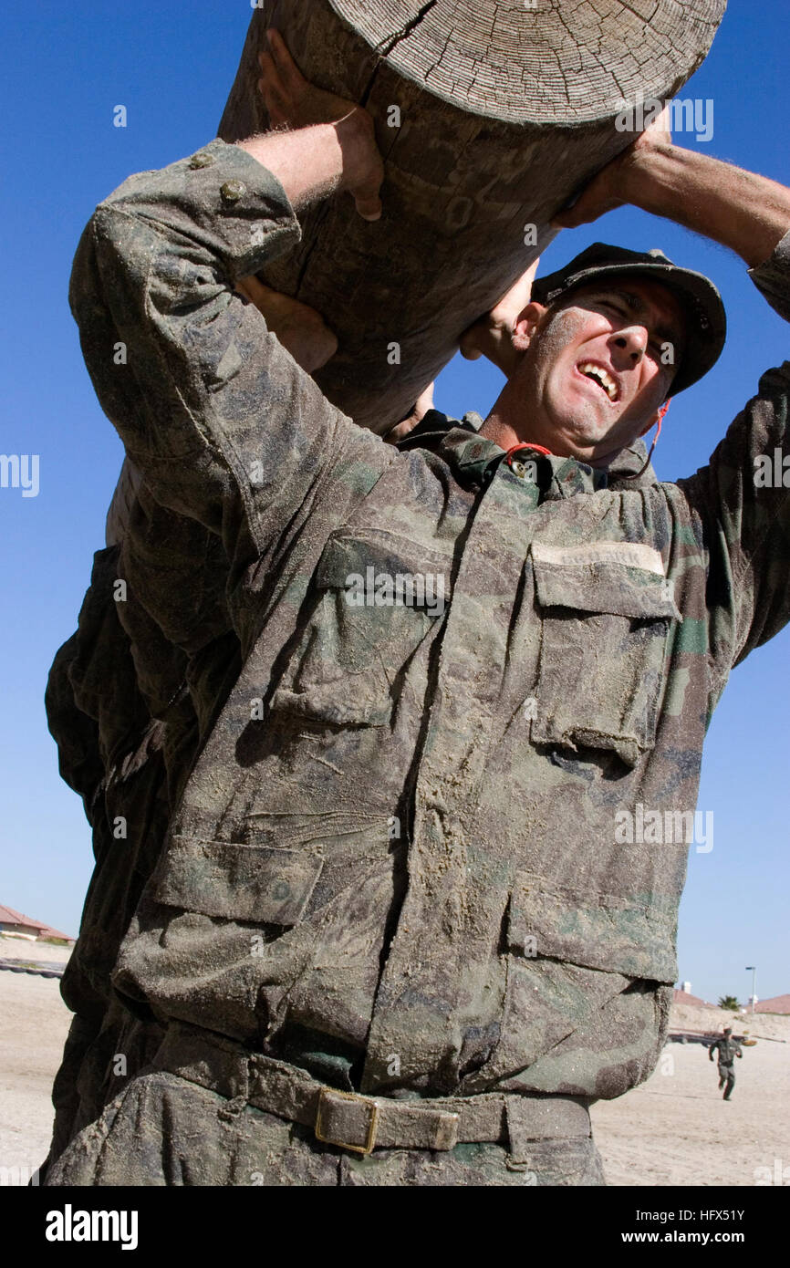 Seal buds training hi-res stock photography and images - Alamy