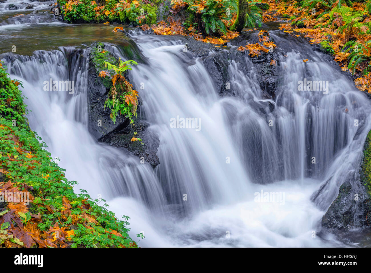 USA, Oregon, Columbia River Gorge National Scenic Area, Emerald Falls ...