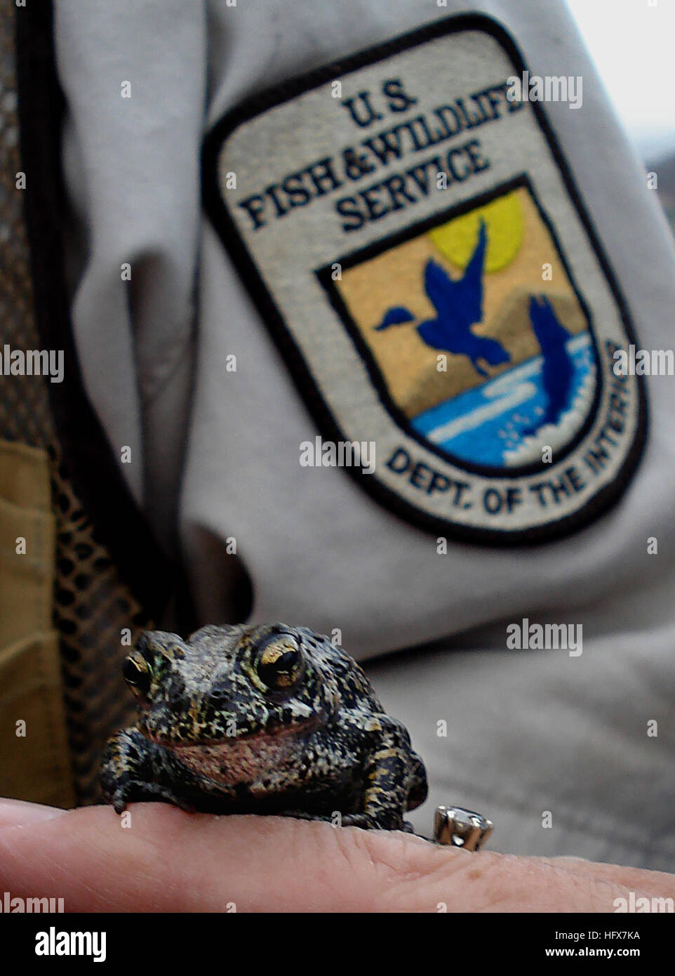 090414-O-9999H-001 FALLON, Nev. (April 14, 2009) A newly discovered ...
