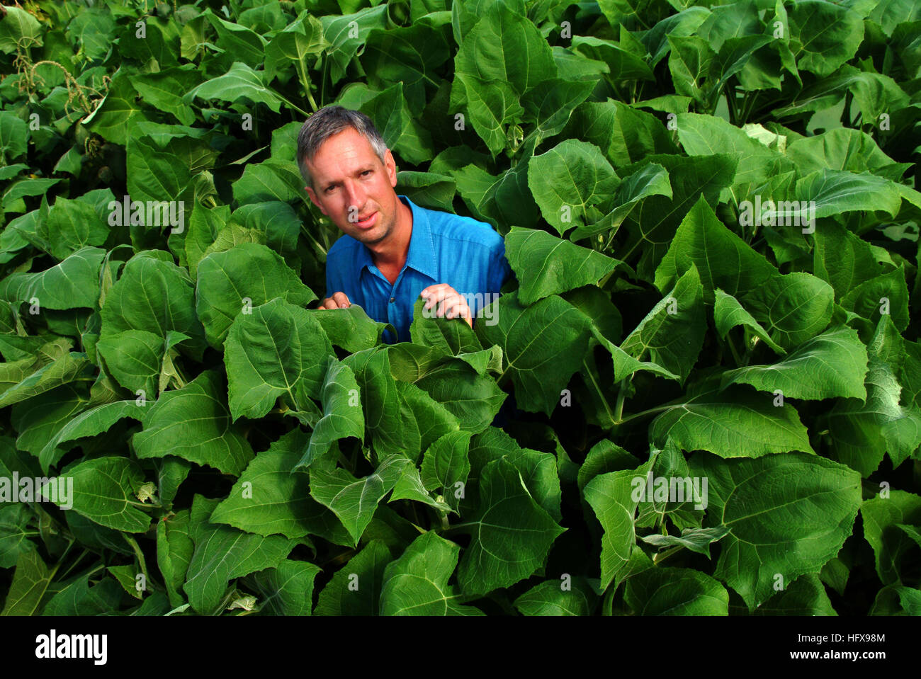 Simon hickmott hi-res stock photography and images - Alamy