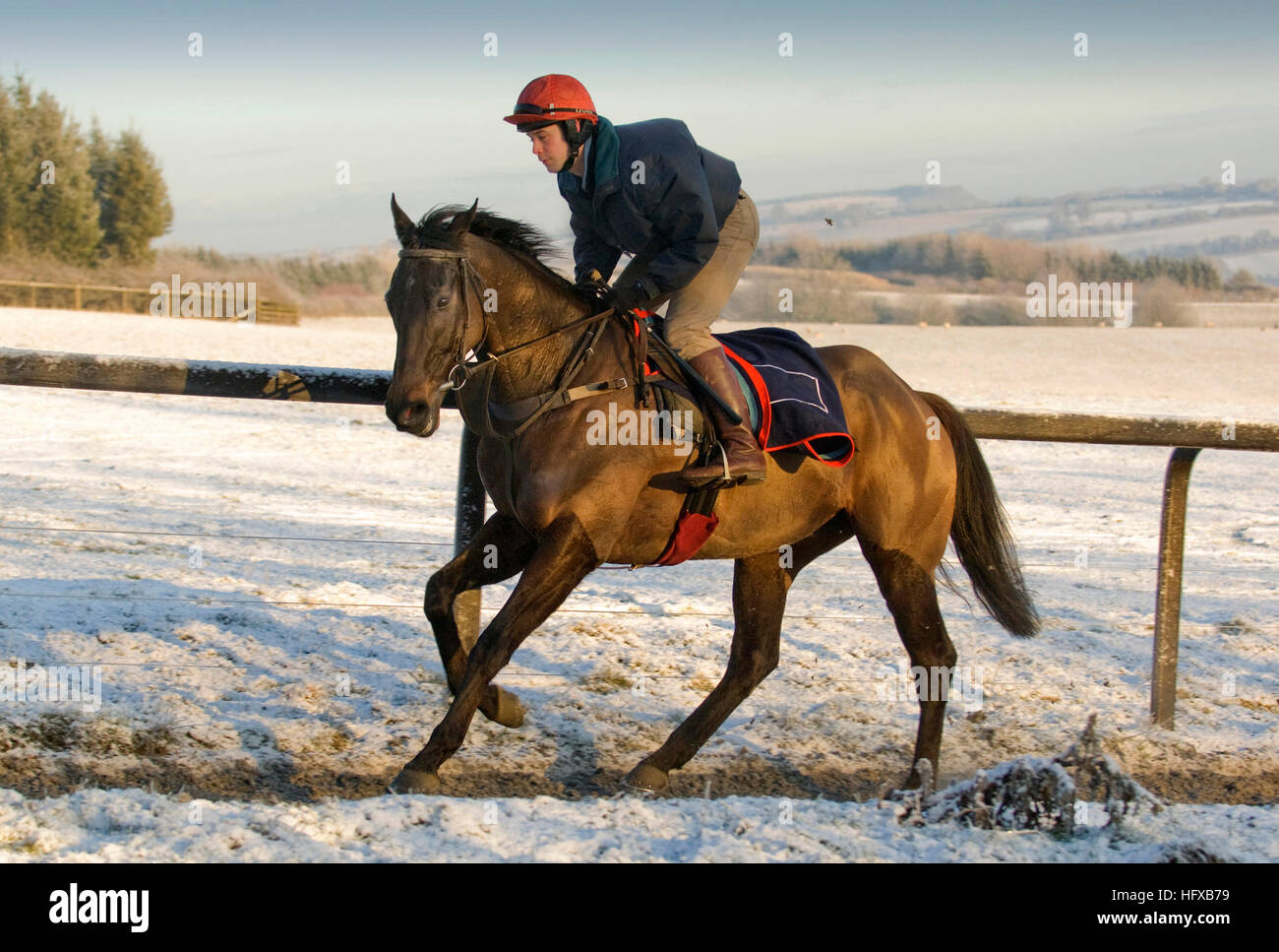 Injured jockey hi-res stock photography and images - Alamy