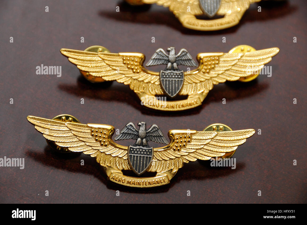 Professional aviation maintenance officer hi-res stock photography and ...