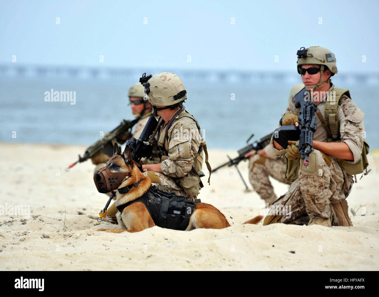 Naval special warfare community hi-res stock photography and images - Alamy