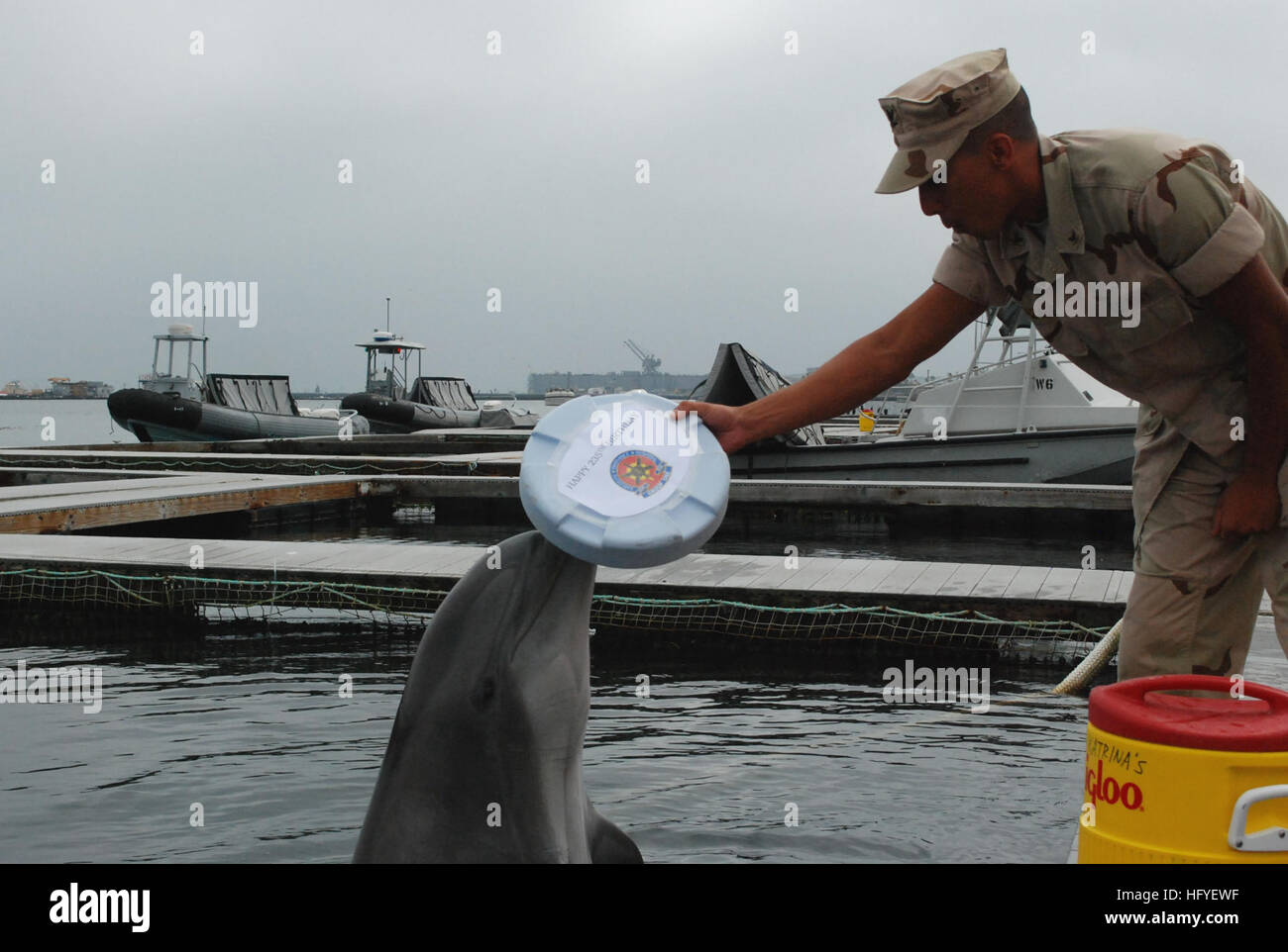 Navy marine mammal program hi-res stock photography and images - Alamy