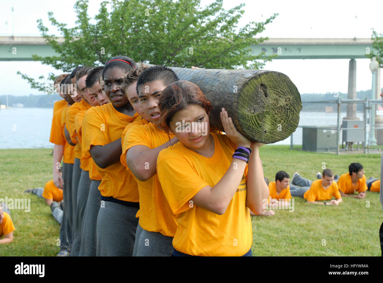Log pt hi-res stock photography and images - Alamy