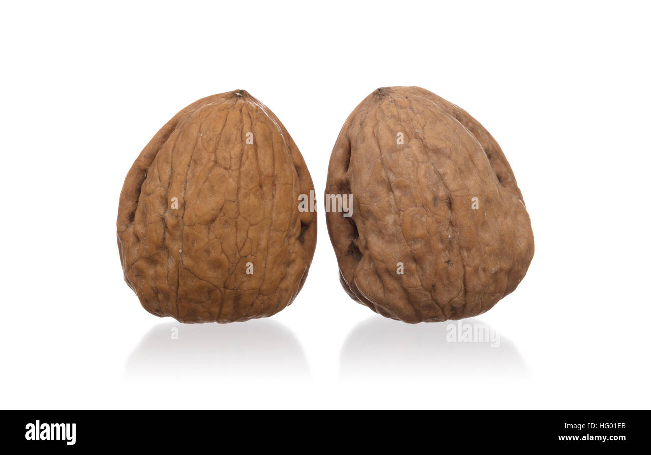 Walnut isolated on white background - With shadow Stock Photo - Alamy