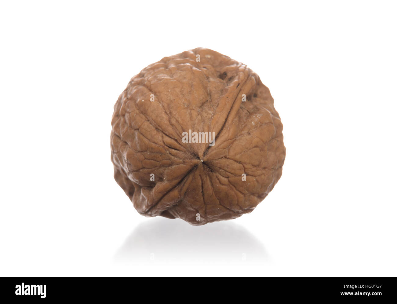 Walnut isolated on white background - With shadow Stock Photo - Alamy