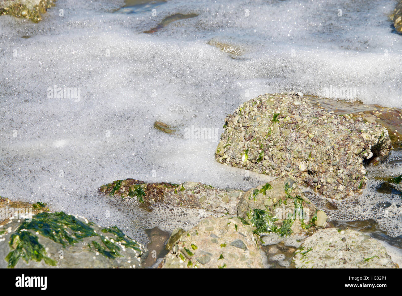 Sea foam is created by the agitation of seawater when it contains ...