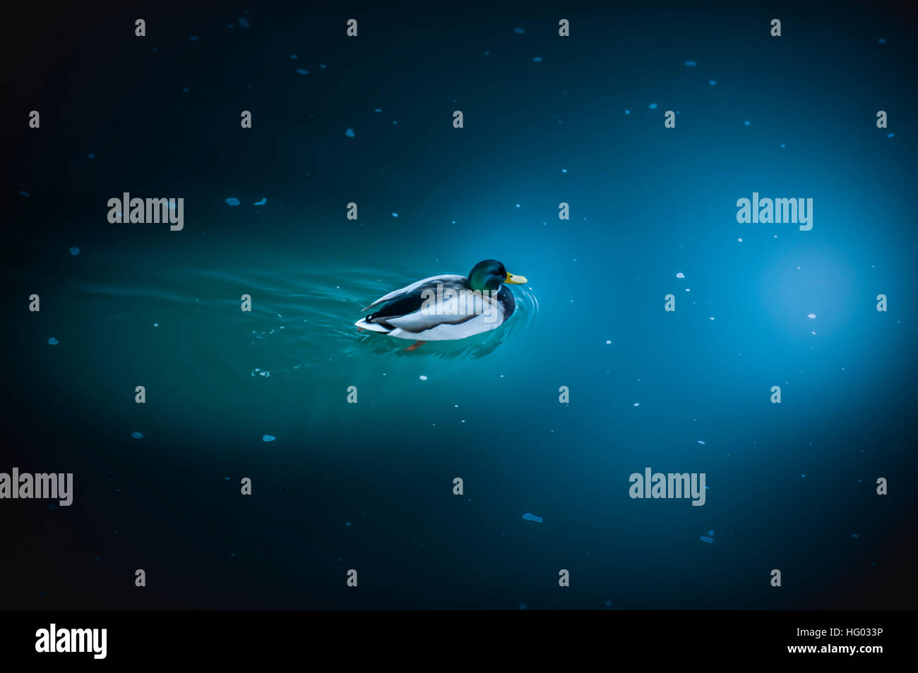 Floating in space hi-res stock photography and images - Alamy