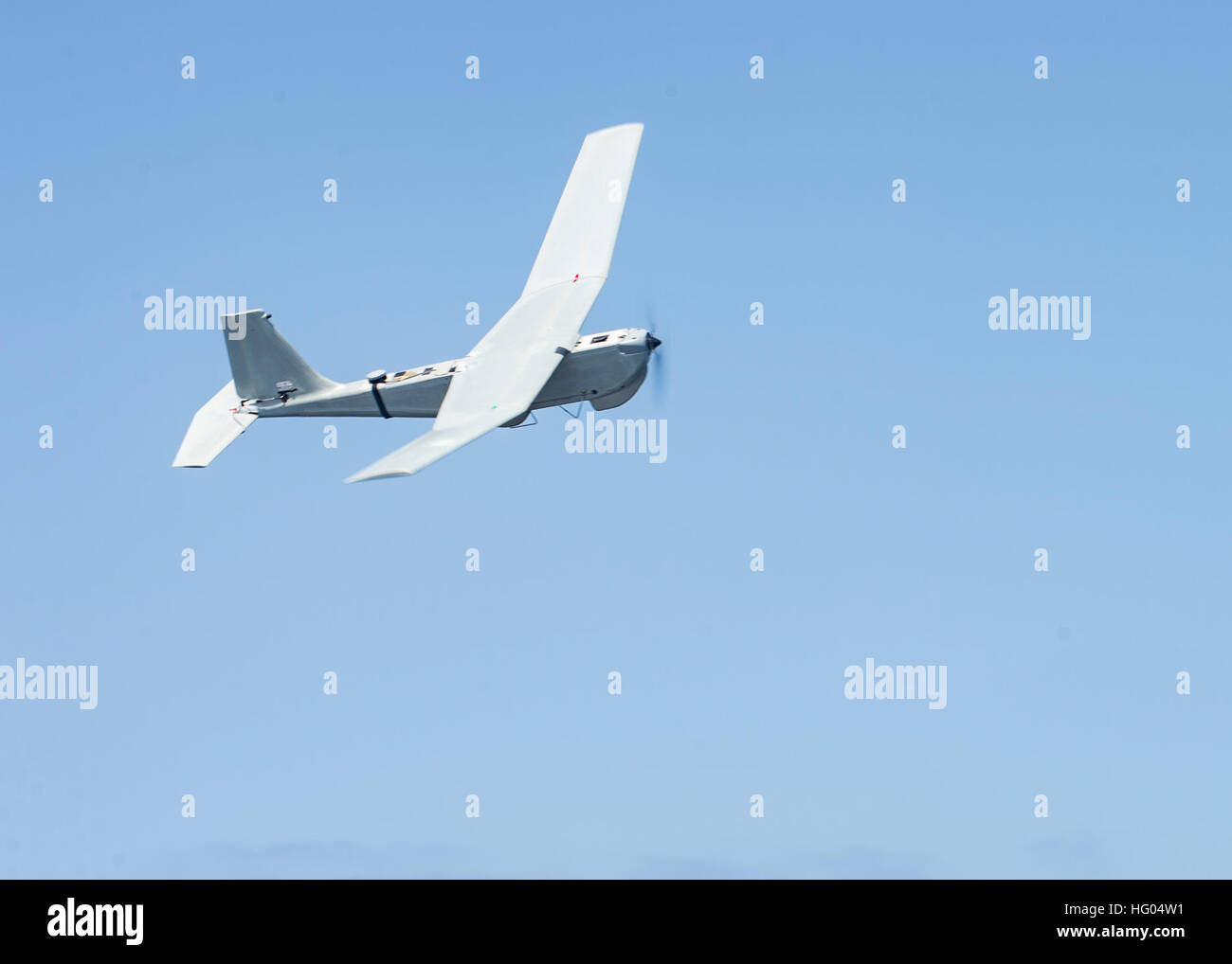 Puma ae hi-res stock photography and images - Alamy