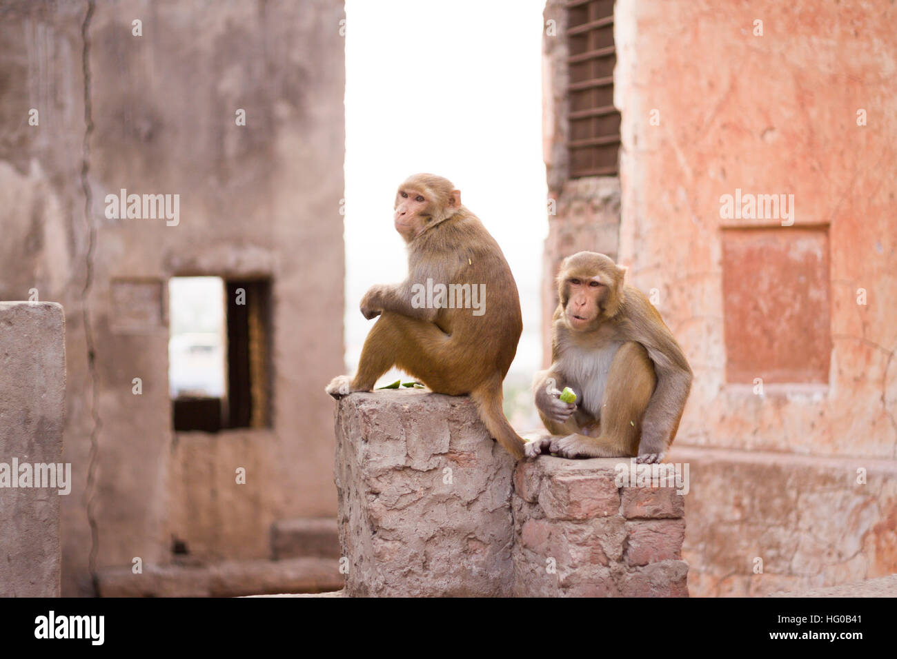 Surya temple wall hi-res stock photography and images - Alamy
