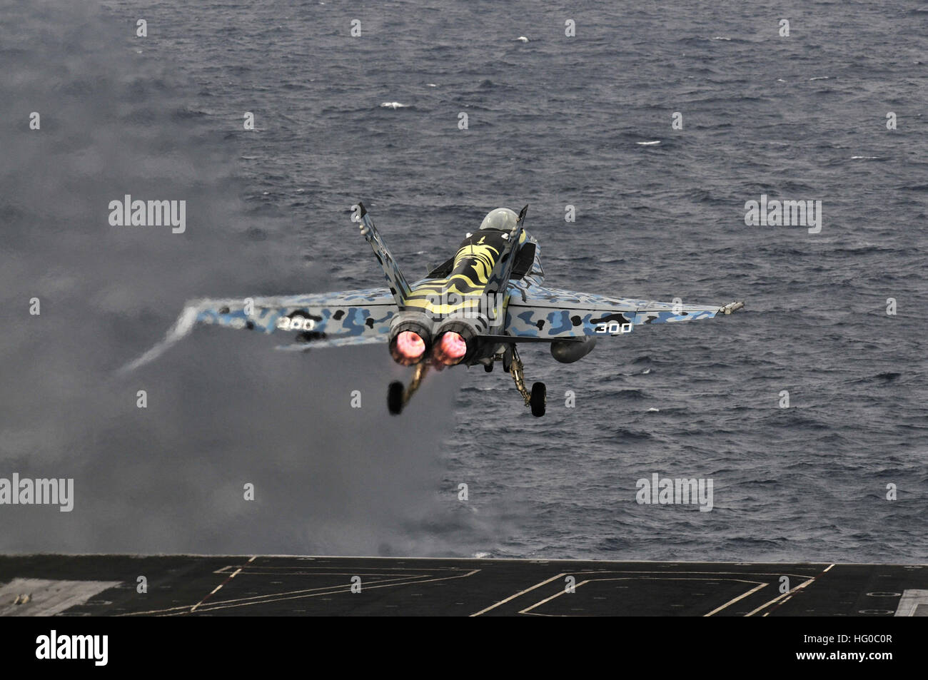 Bell hornet hi-res stock photography and images - Alamy