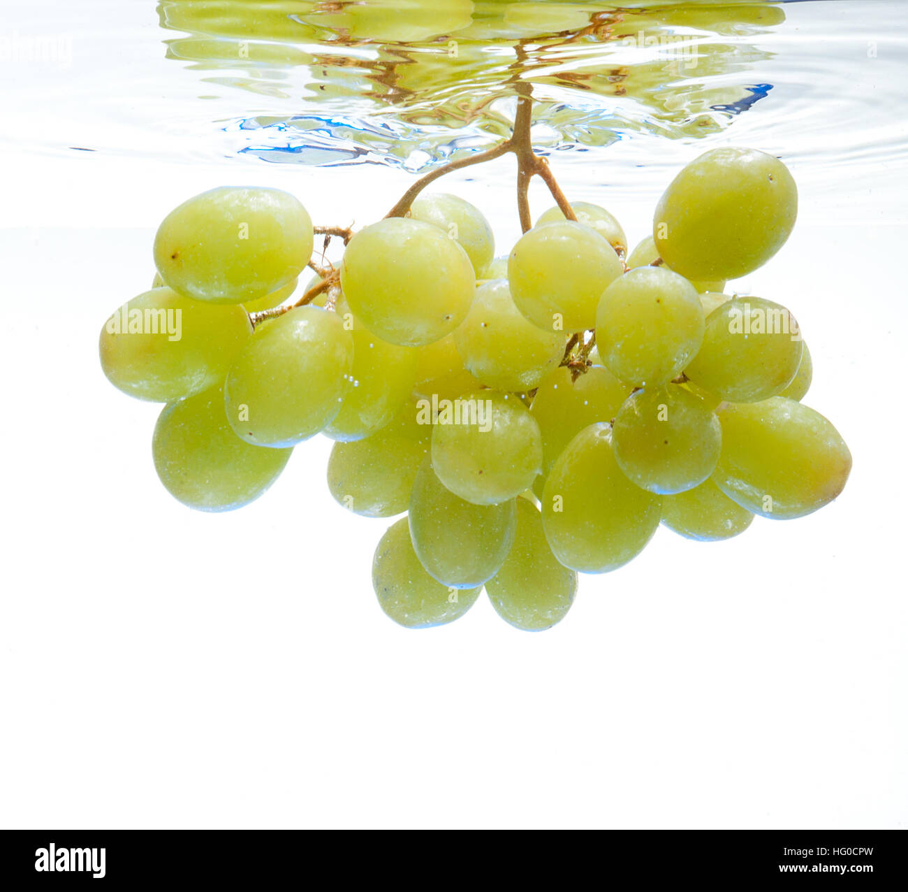 Grapes floating in the water on a white background Stock Photo - Alamy