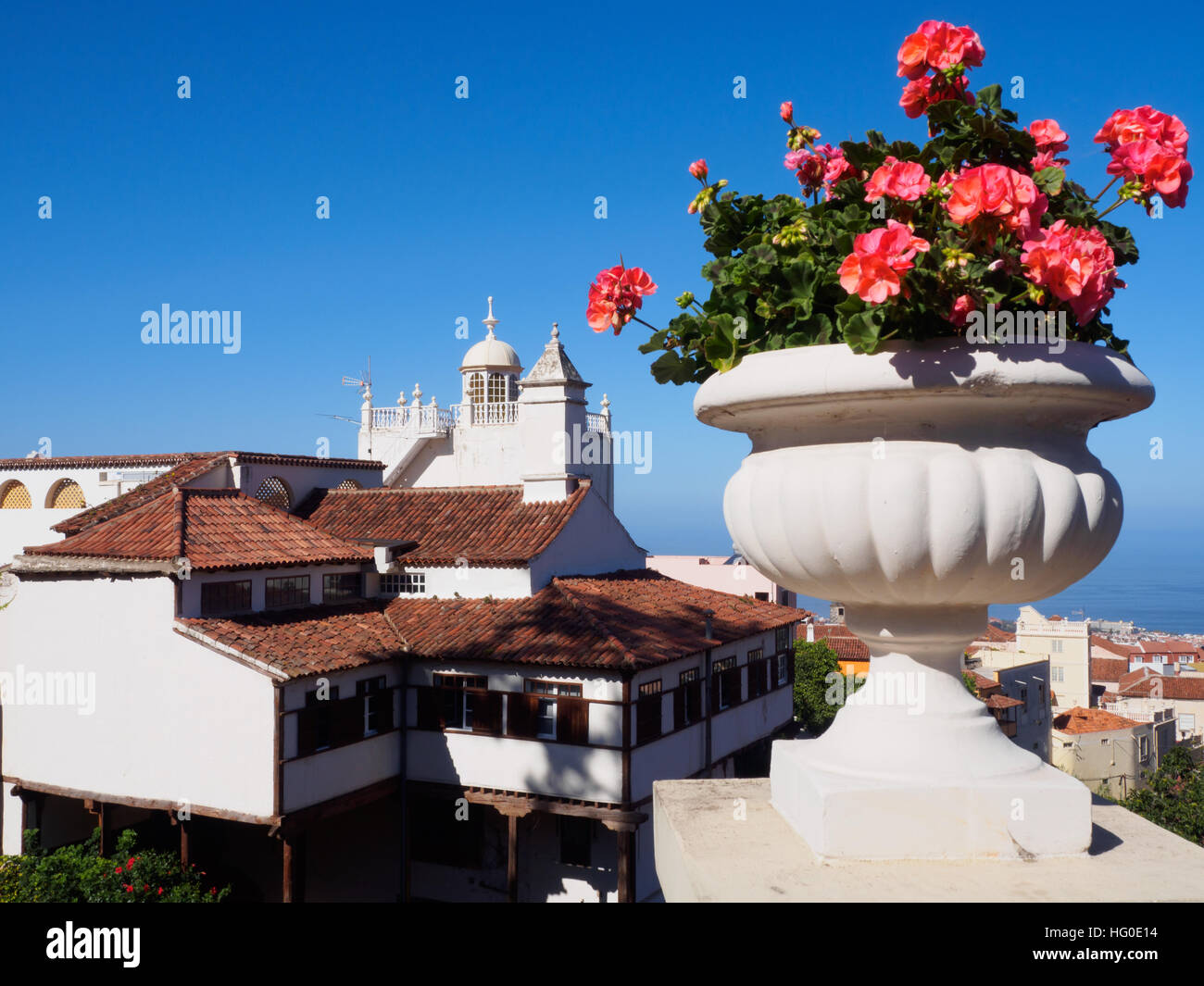 Red geranium over the rooftops of La Orotava, Tenerife Stock Photo - Alamy