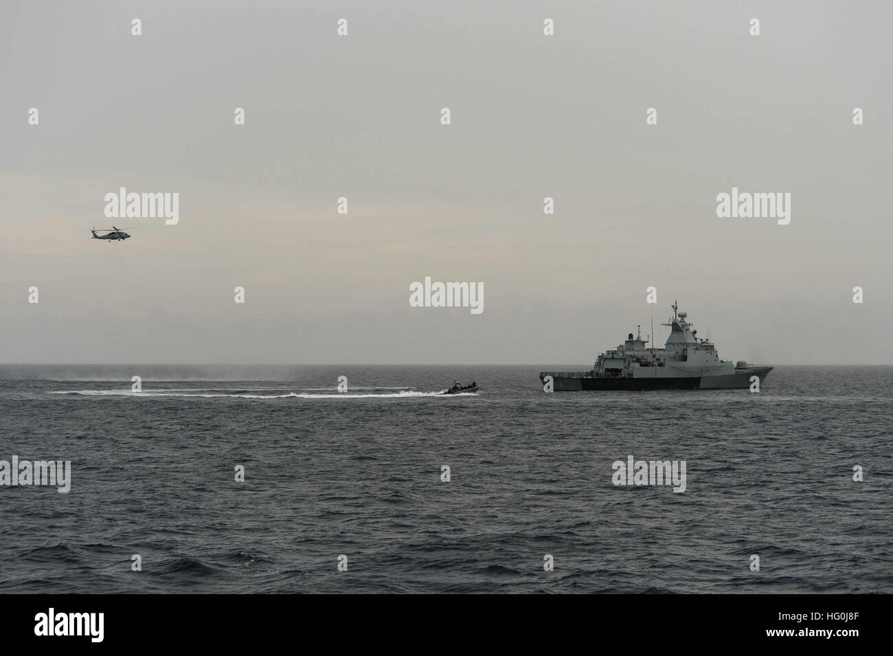 Seacat freedom hi-res stock photography and images - Alamy