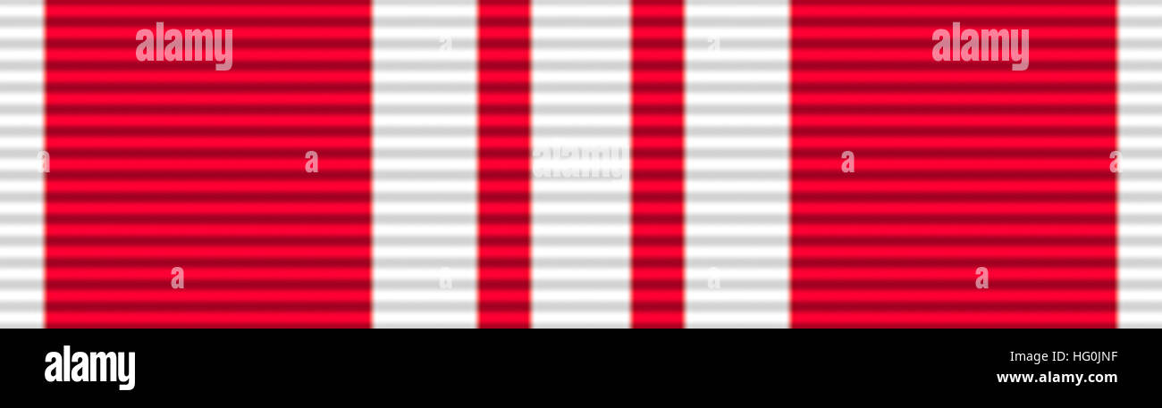 NDNG Achievement Medal Stock Photo - Alamy