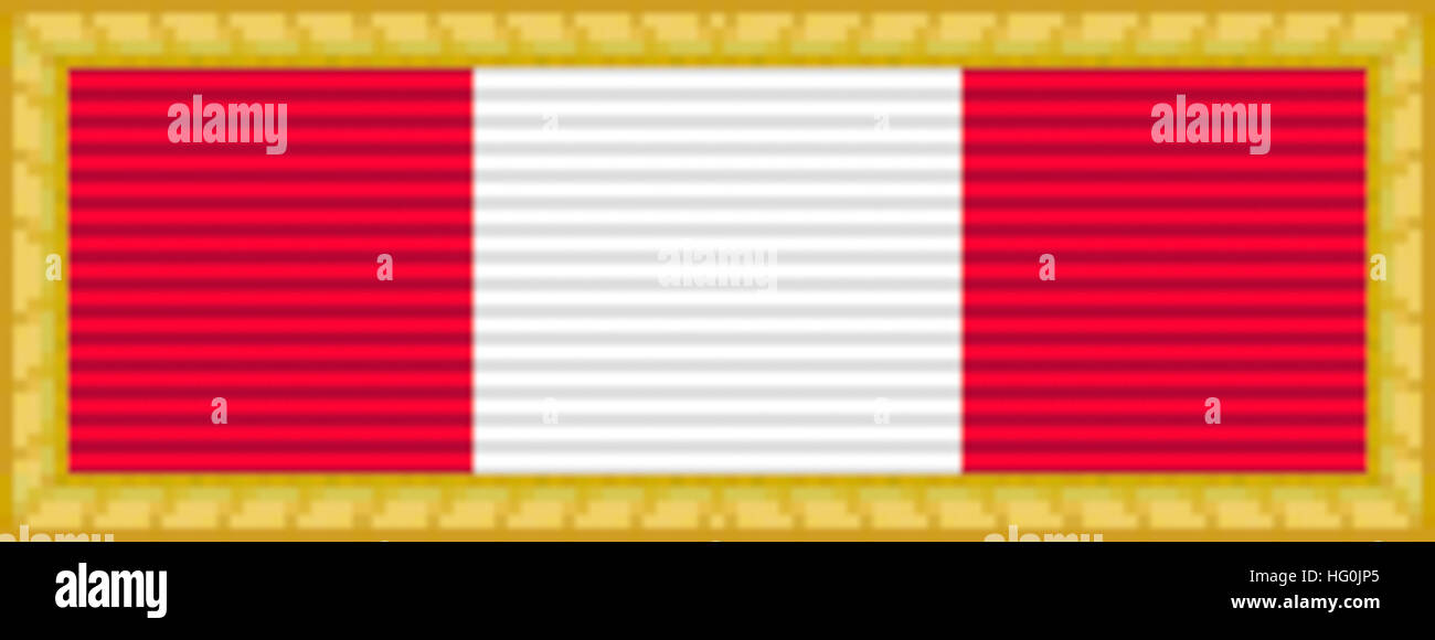 SD NG Distinguished Unit Award Stock Photo - Alamy