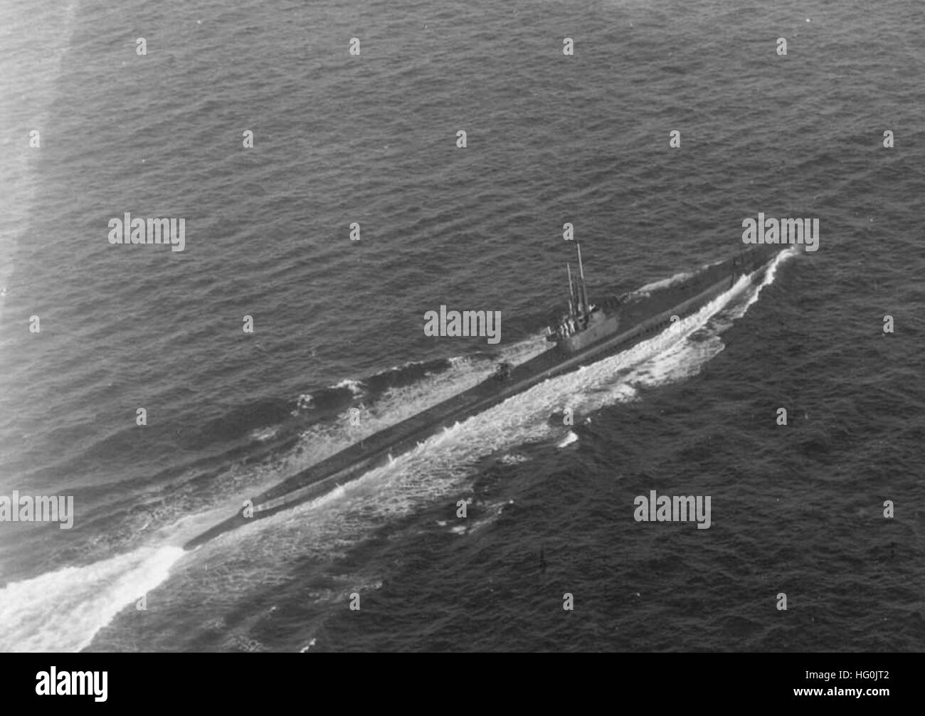 Spikefish hi-res stock photography and images - Alamy