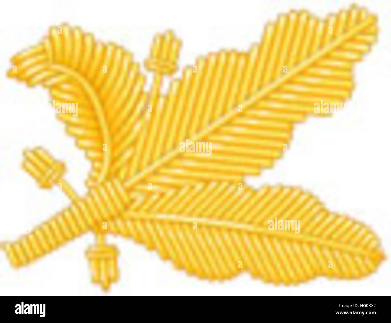 Usn logo hi-res stock photography and images - Alamy