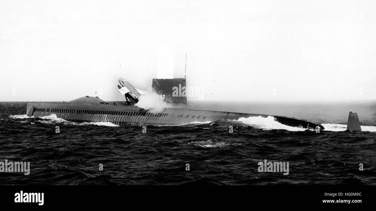 Halibut Black and White Stock Photos & Images - Alamy