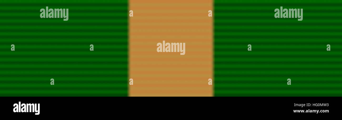 Marine Corps Drill Instructor Ribbon Stock Photo - Alamy