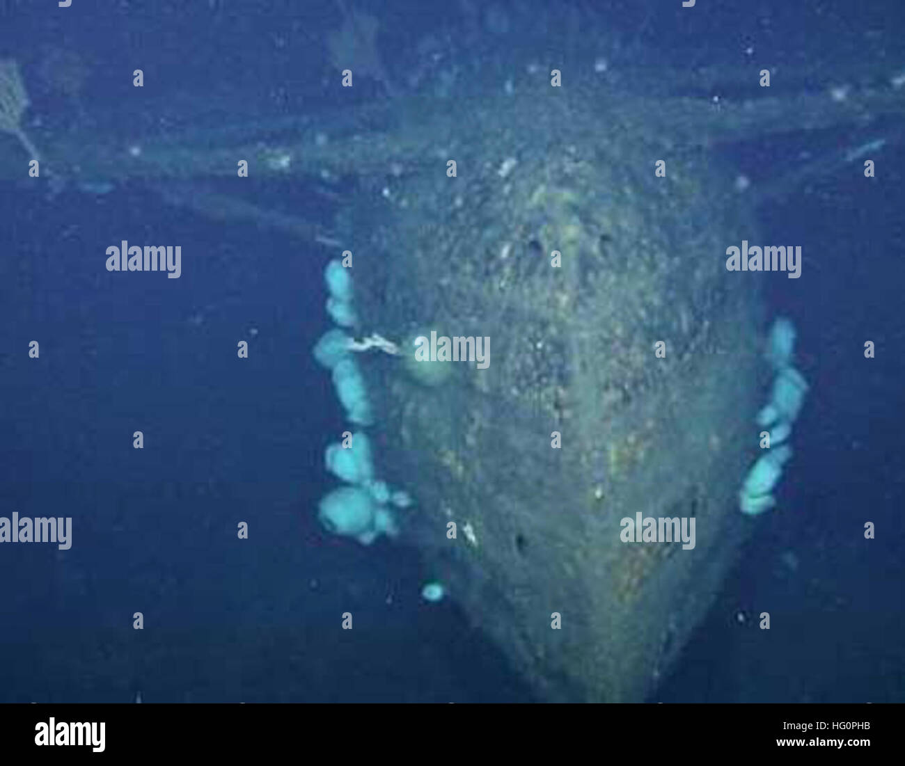 USS Grunion (SS-216) sunk3 Stock Photo - Alamy