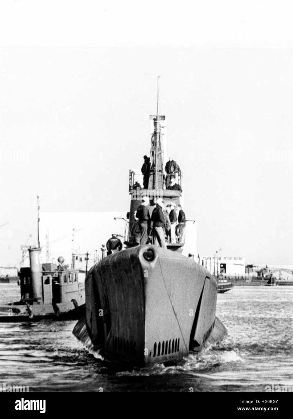 Armed gurnard hi-res stock photography and images - Alamy