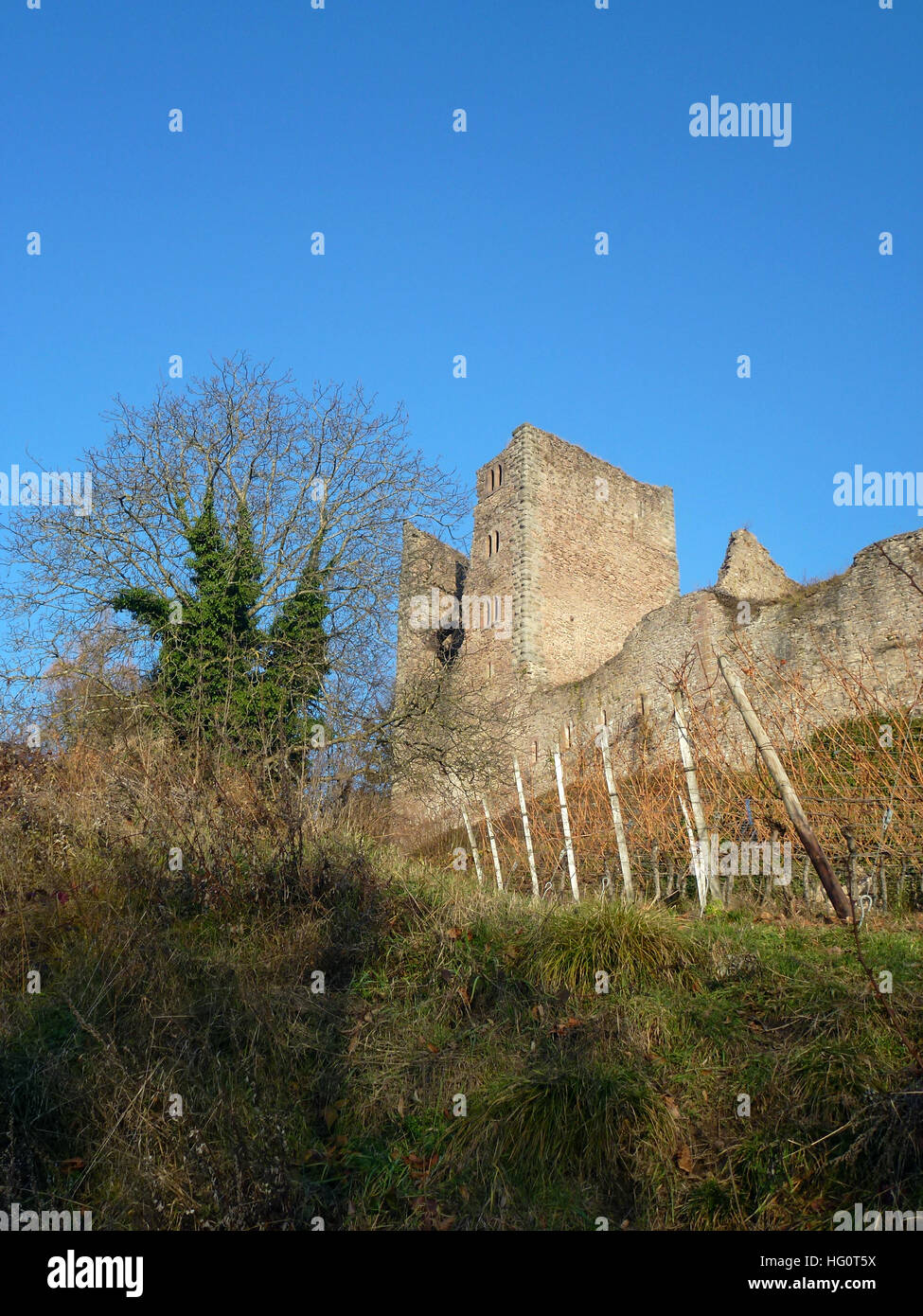 Oberkirch, Germany. 19th Dec, 2016. The ruins of the Schauenburg castle ...