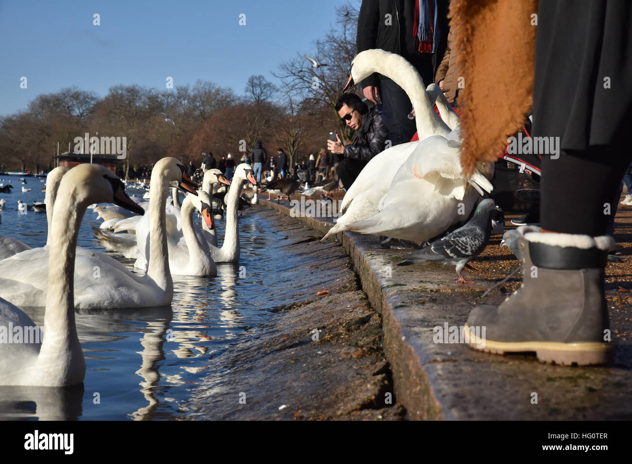 Hyde Park, London, UK. 2nd Jan, 2017. Sunny and cold day in London ...