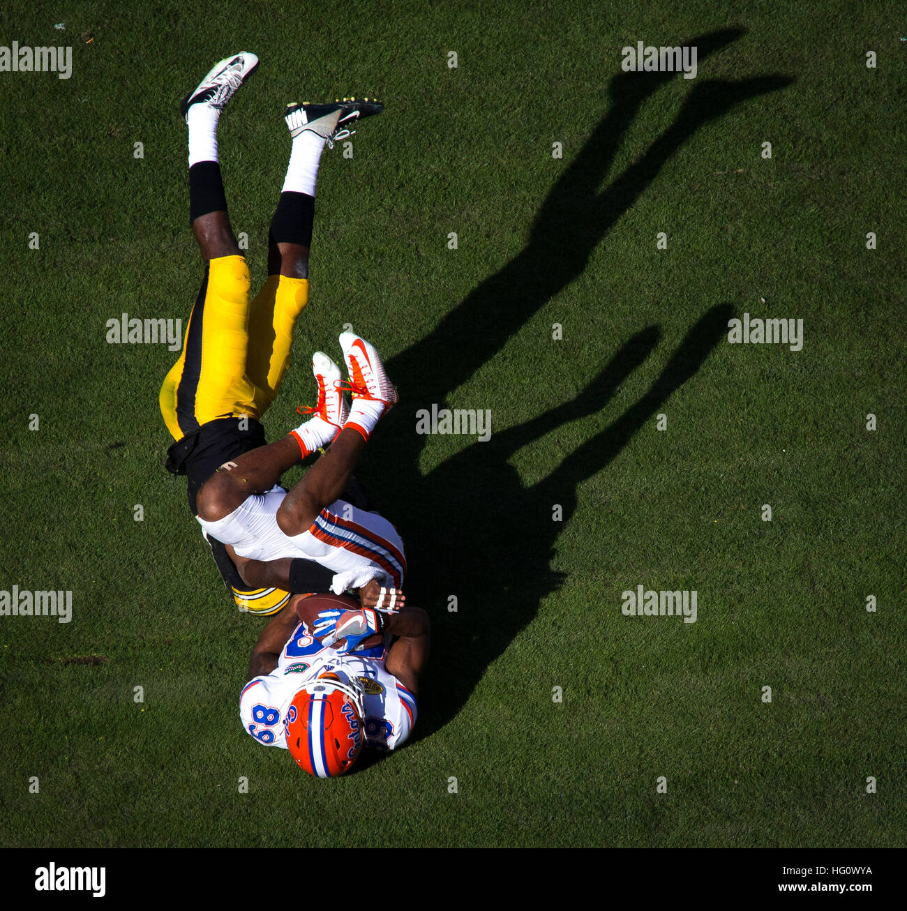 Florida, USA. 2nd Jan, 2017. LOREN ELLIOTT | Times .Florida Gators wide ...