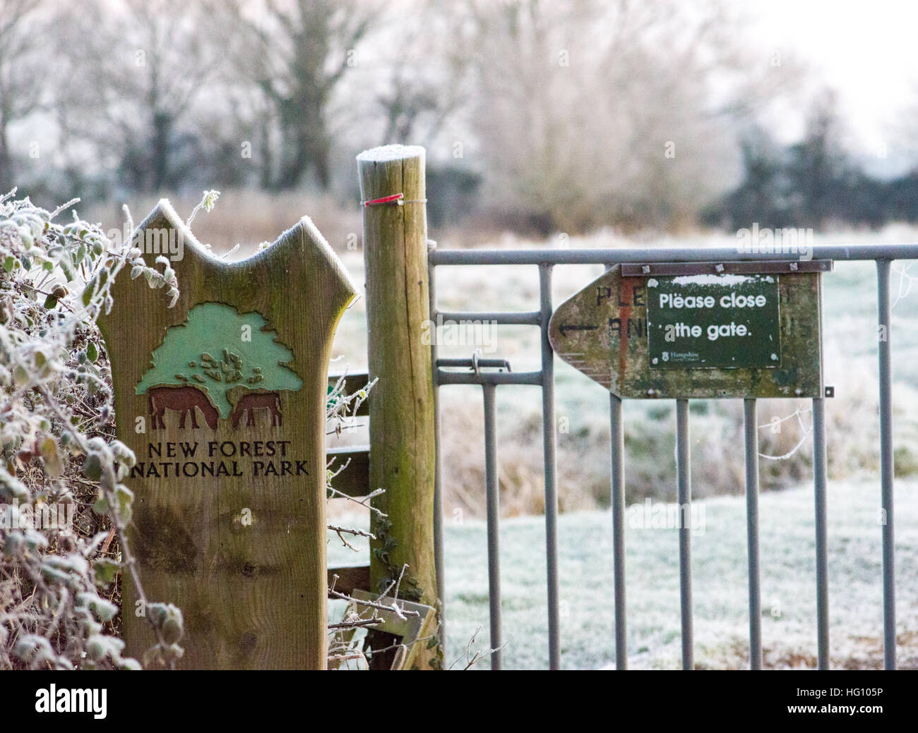 Frost on a gate on the edge of the New Forest, Hampshire, UK with New ...
