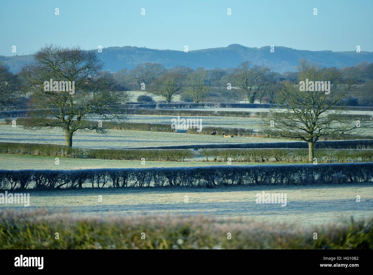 Countryside rural field frost hi-res stock photography and images - Alamy