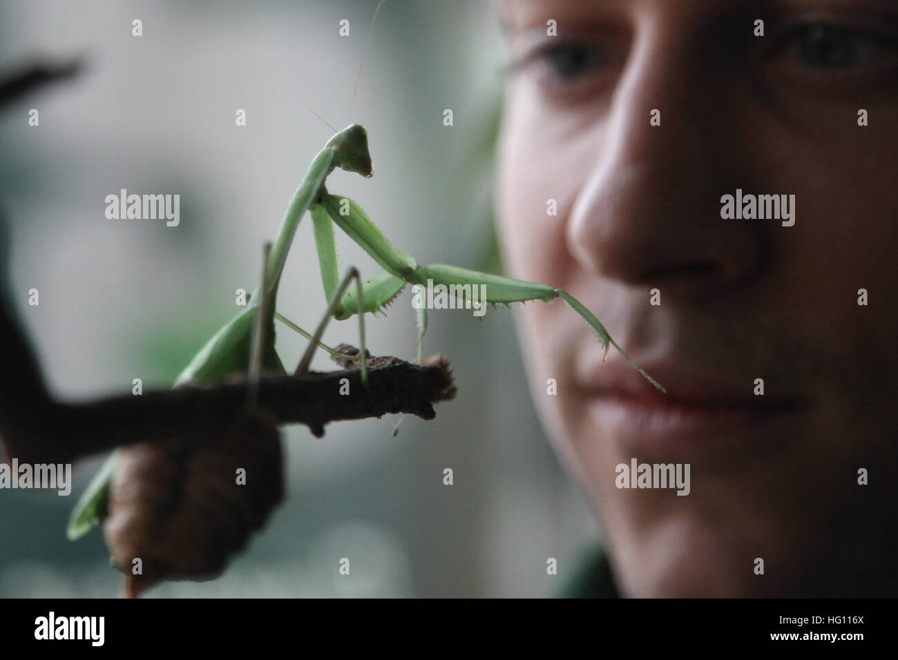 London Zoo, UK. 3 Jan 2017 Zookeeper Jamie Mitchell with Preying Mantis ...