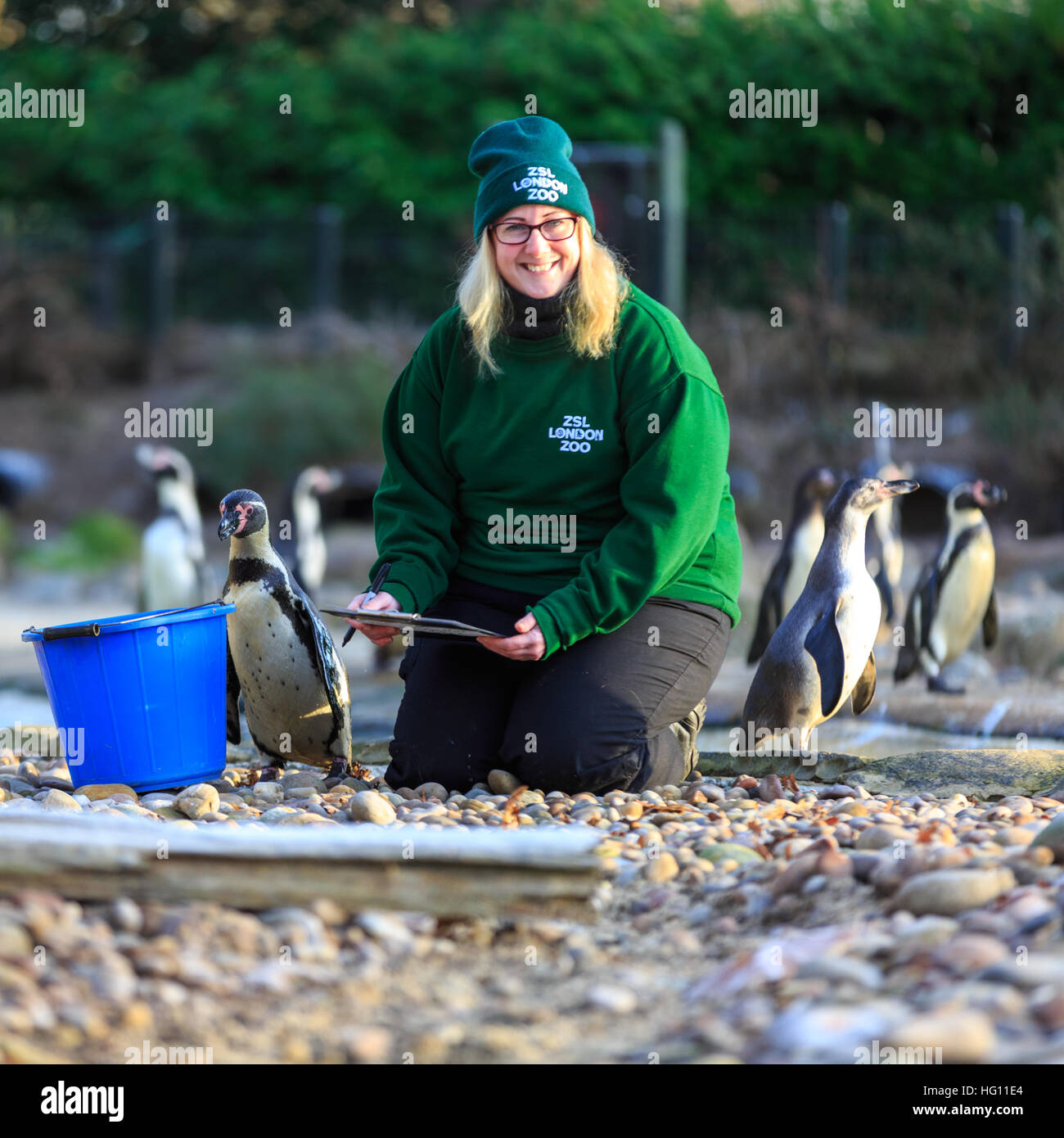 London, UK. 3rd Jan, 2017. Keeper Suzi Hyde checks and counts the ...