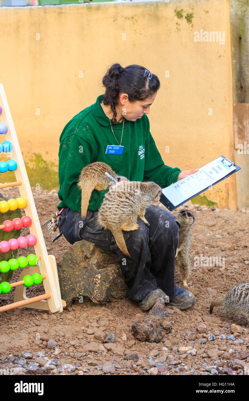 Female Zoo Keeper Stock Photos & Female Zoo Keeper Stock Images - Alamy