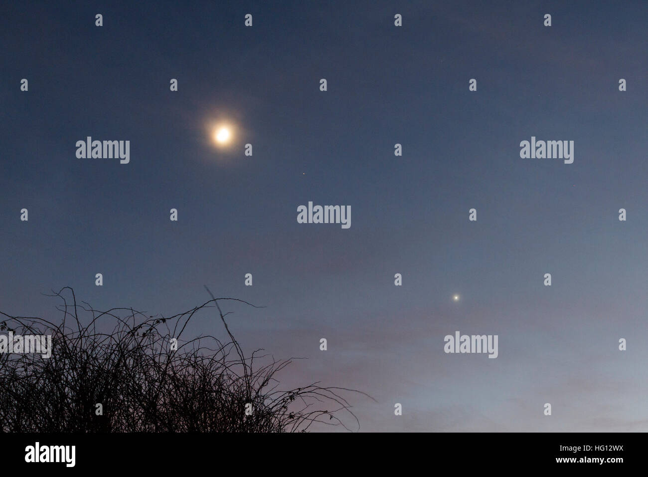 Night Sky Uk Stars High Resolution Stock Photography and Images - Alamy
