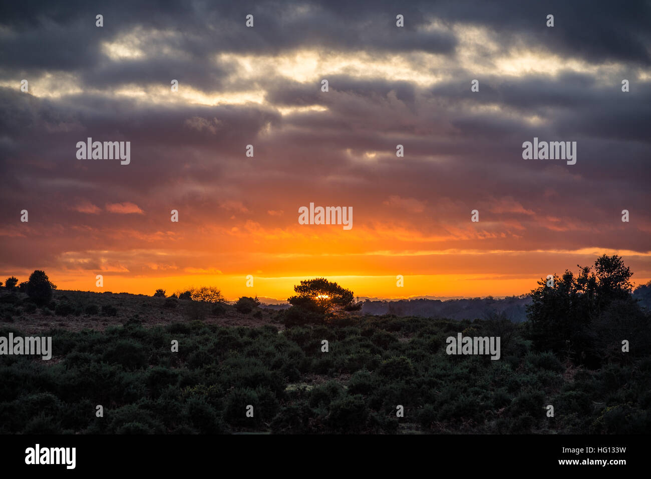 Glowing orange winter sunset with central tree Stock Photo - Alamy