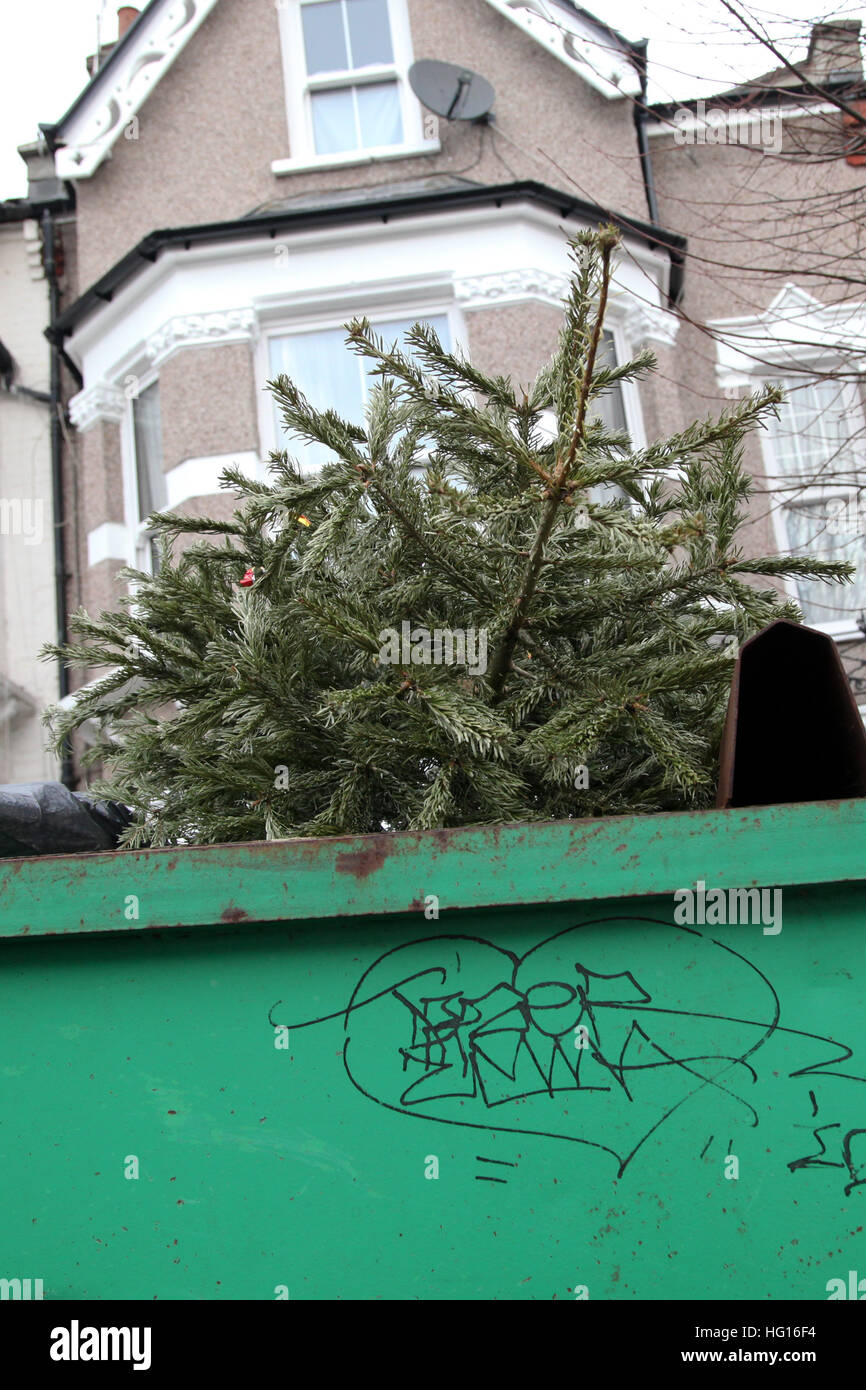 Christmas trees dumped on pavement hi-res stock photography and images ...