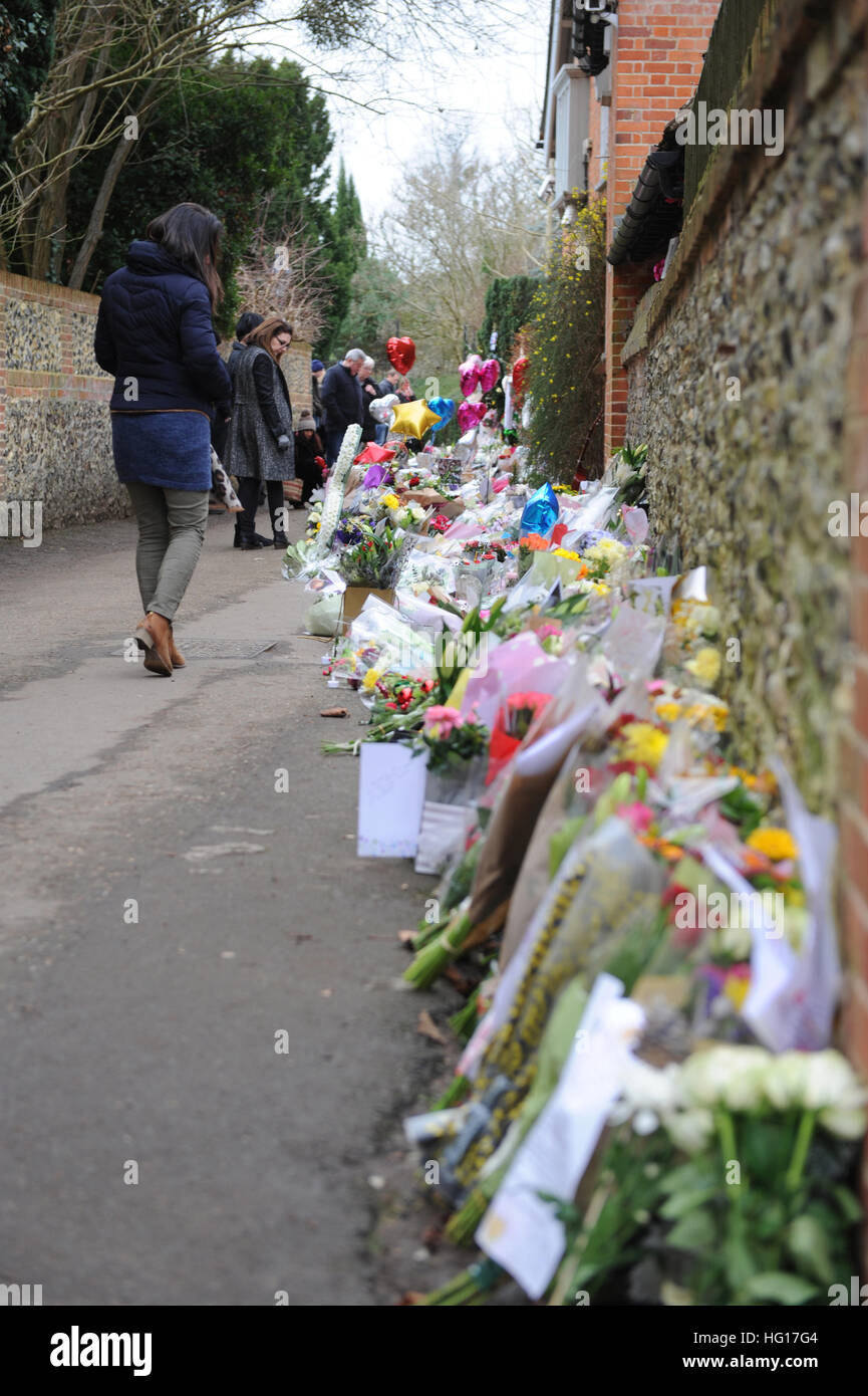 George michael house goring hi-res stock photography and images - Alamy