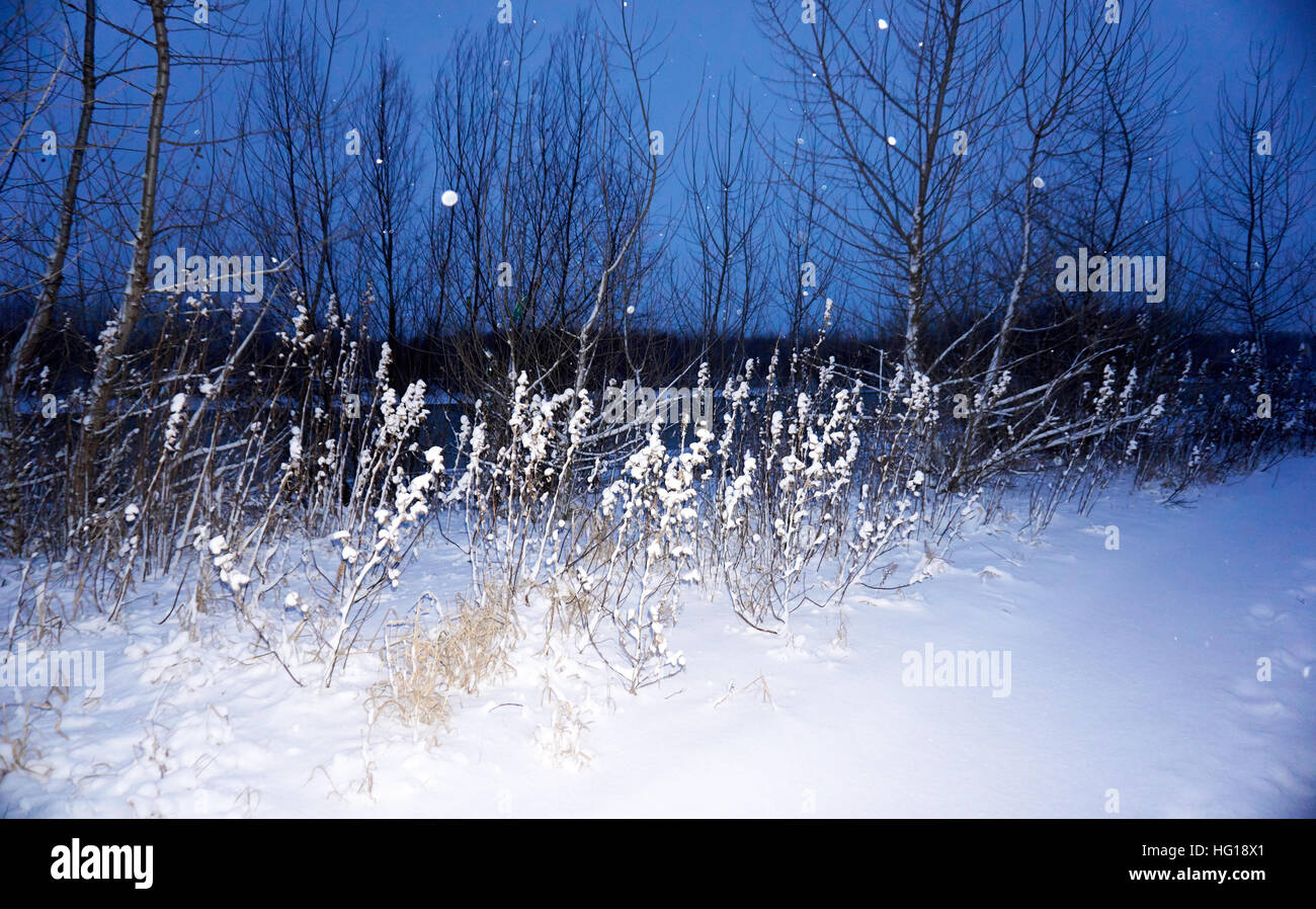 The winter is here! snow and snowflakes is everywhere Stock Photo - Alamy