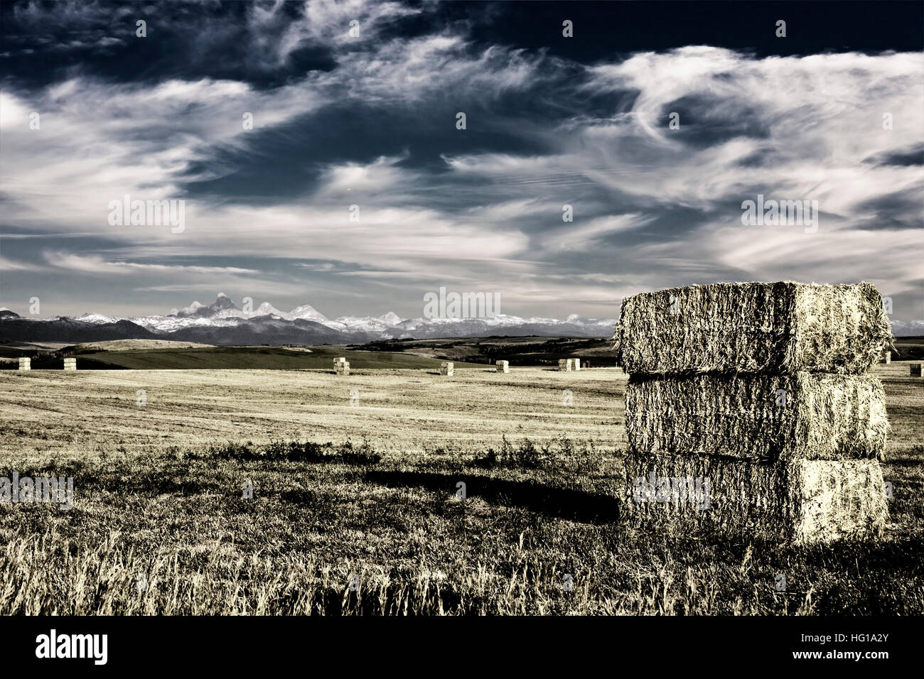 Floating hay bale hi-res stock photography and images - Alamy