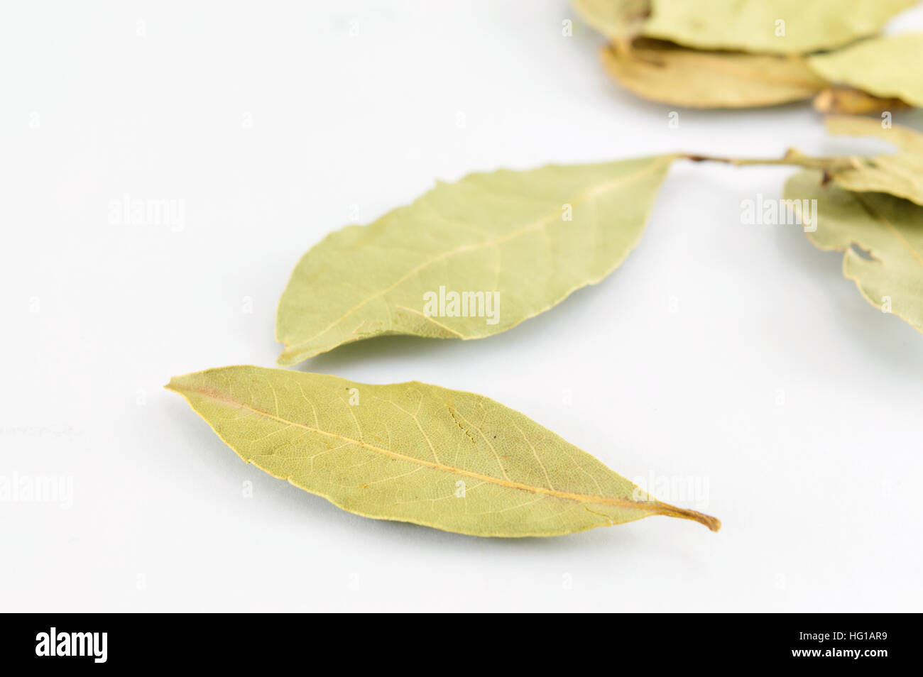 Green bay leaves on white wooden table Stock Photo - Alamy