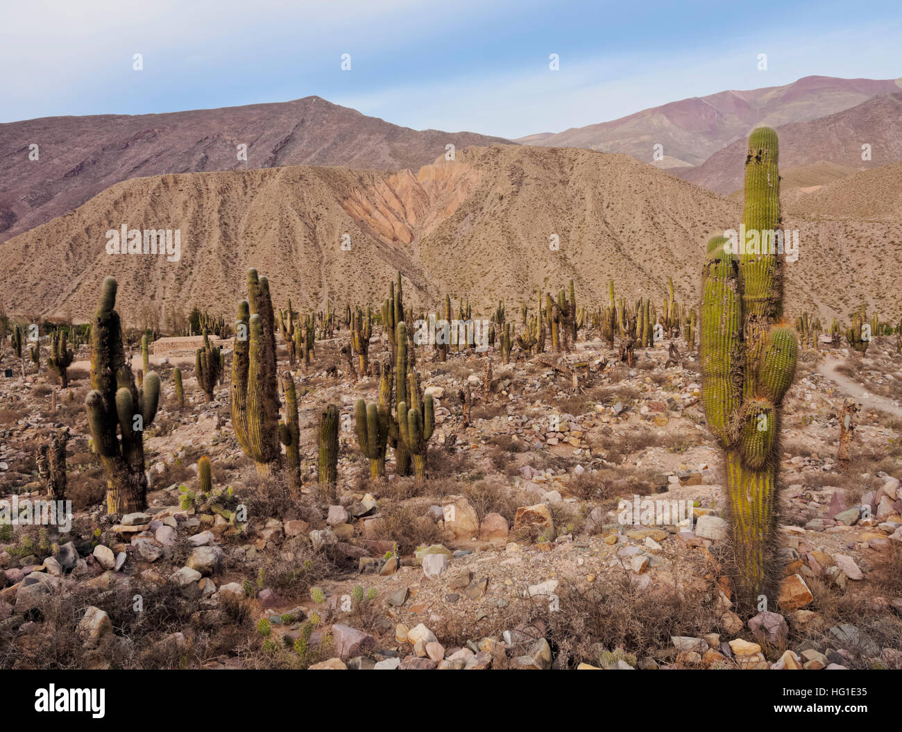 Argentina, Jujuy Province, Tilcara, View of the Pucara de Tilcara, pre ...