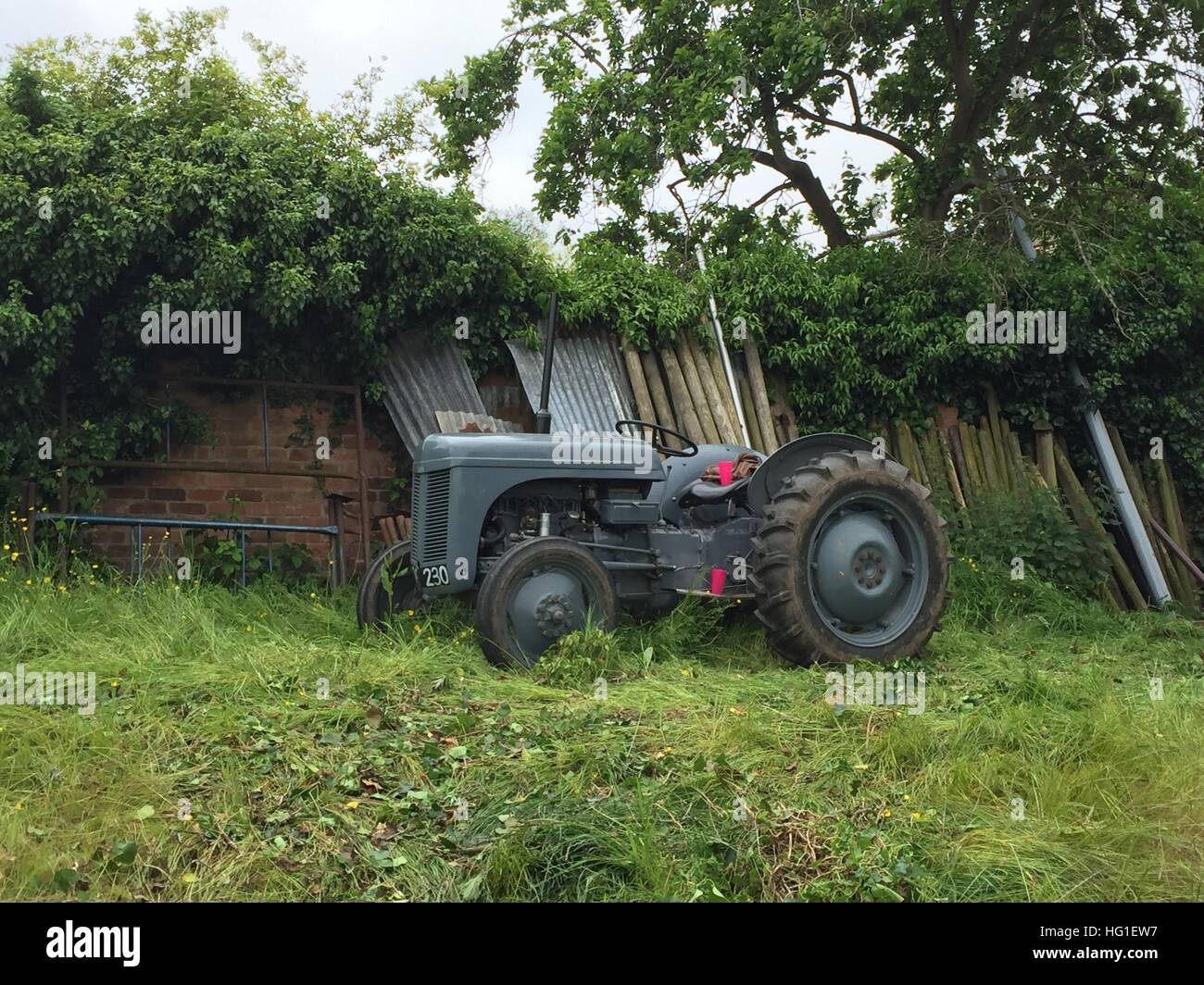 Little grey fergie te20 tractor at work Stock Photo - Alamy