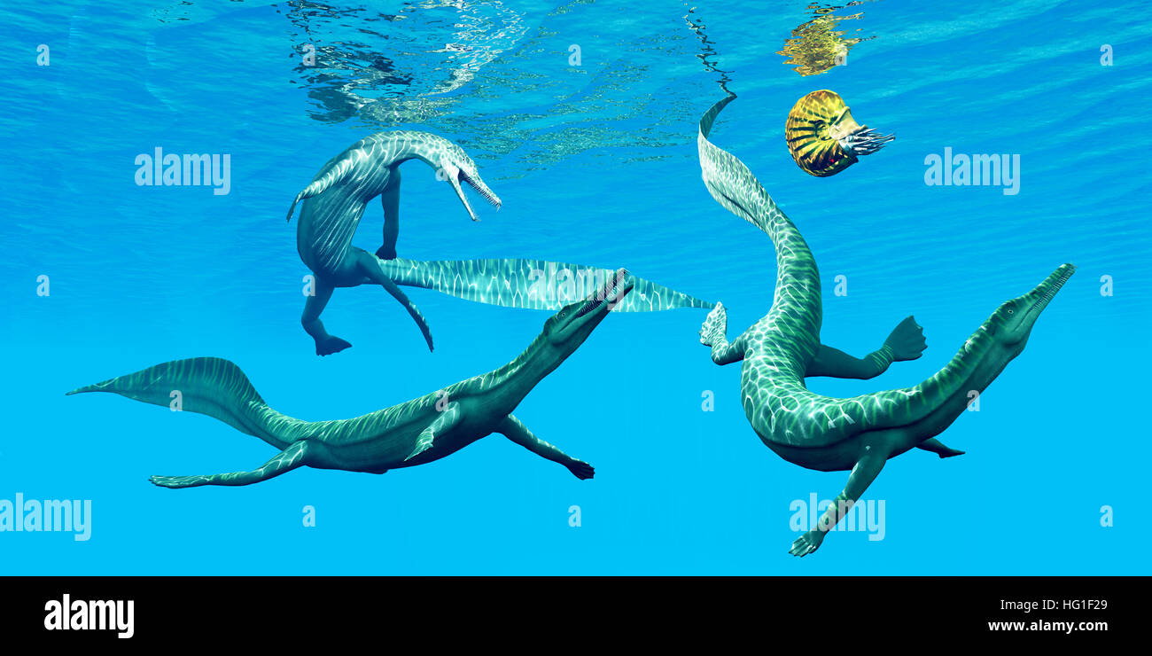 Mesosaurus hi-res stock photography and images - Alamy