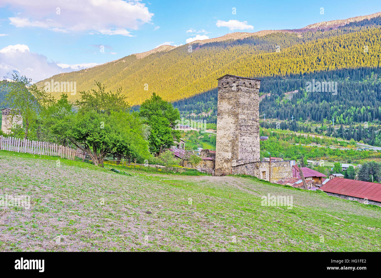 The picturesque mountain landscape with green coniferous forests on the ...
