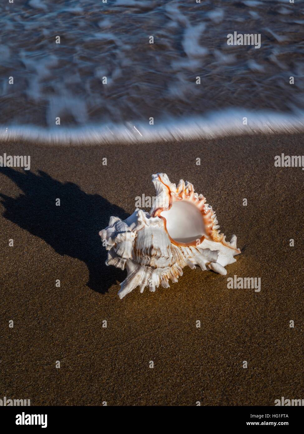 Long exposure photographs hi-res stock photography and images - Alamy