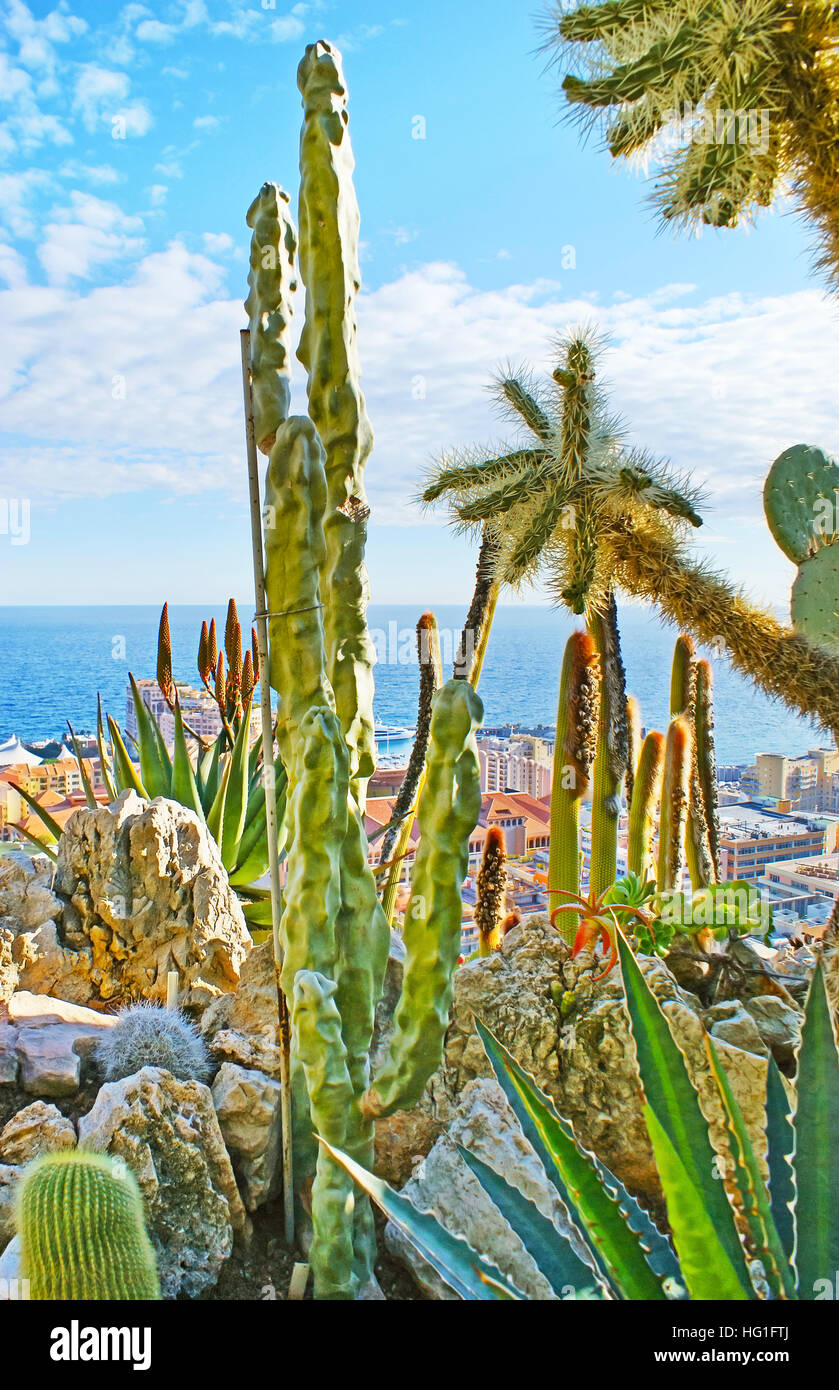 Cactus garden monaco monte carlo hi-res stock photography and images ...