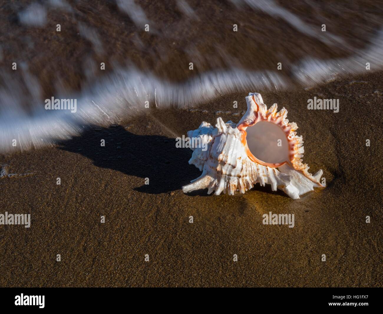 Long exposure wave hi-res stock photography and images - Alamy