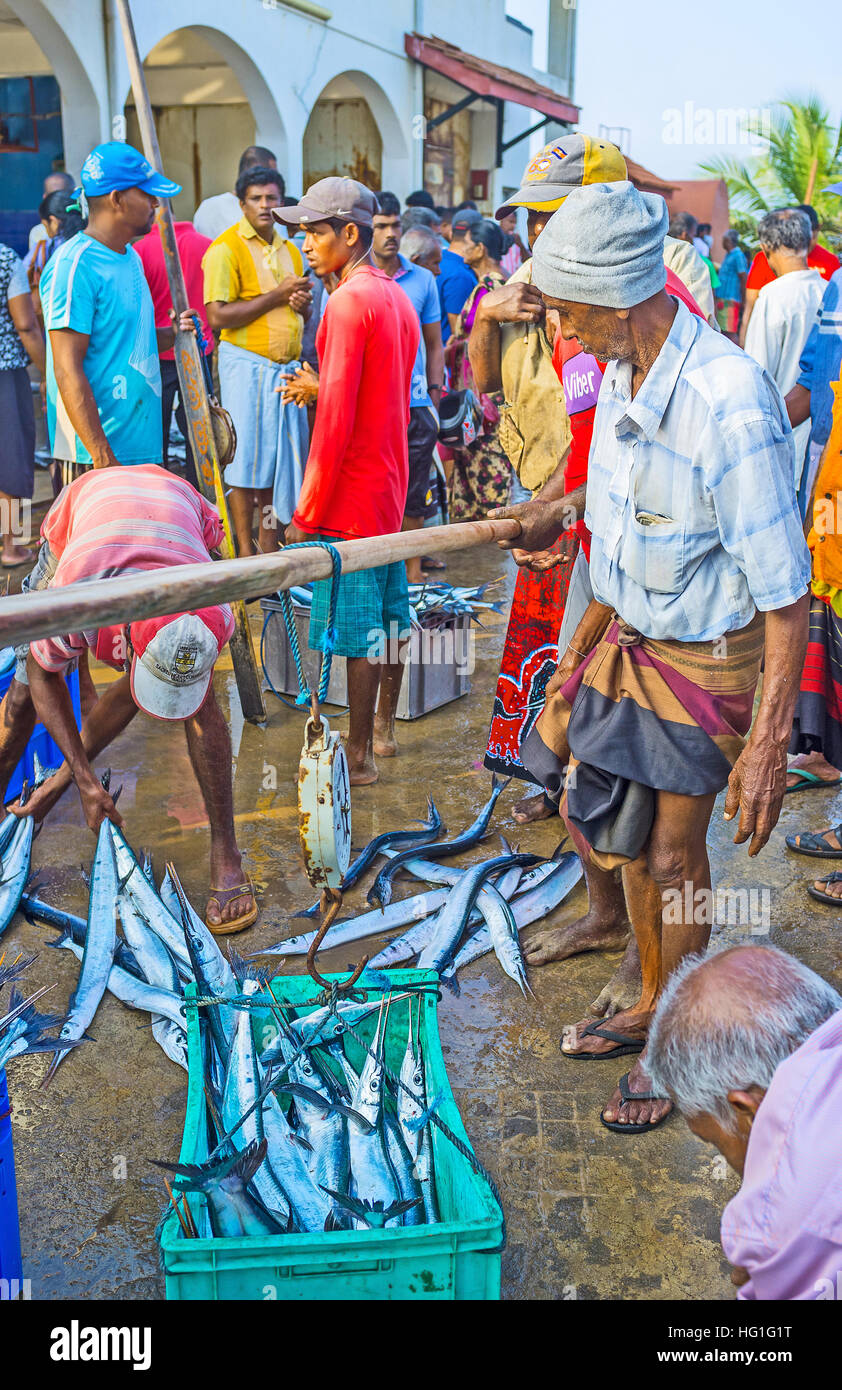 Fishermen brought fish from hi-res stock photography and images - Alamy